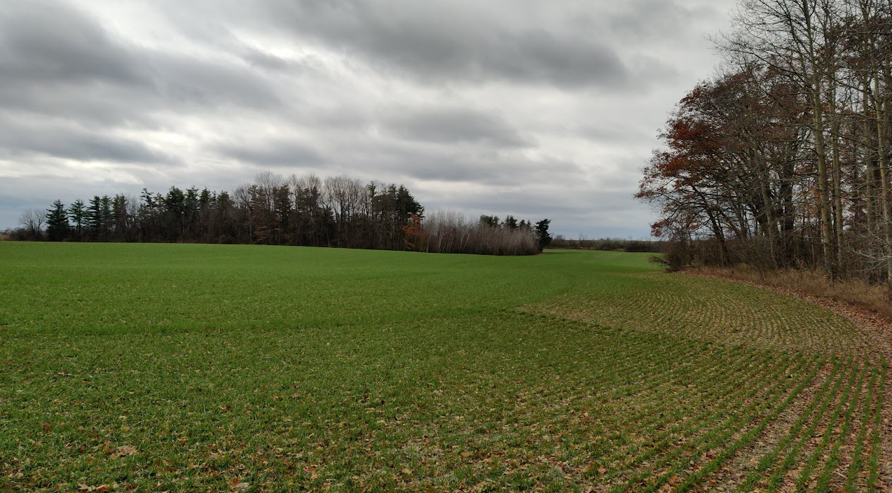 Construct columns back to JSON. We have discussed how to flatten JSON… | by Feng Li | Dev Genius