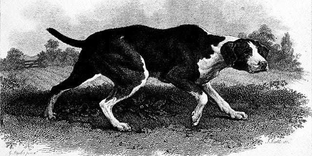 Building dag-workflows: a Python Workflow Execution Tool | by Alec ...