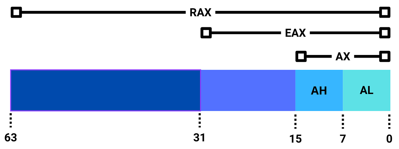 The Base register in x86–64 assembly: understanding RBX, EBX, BX, BH ...