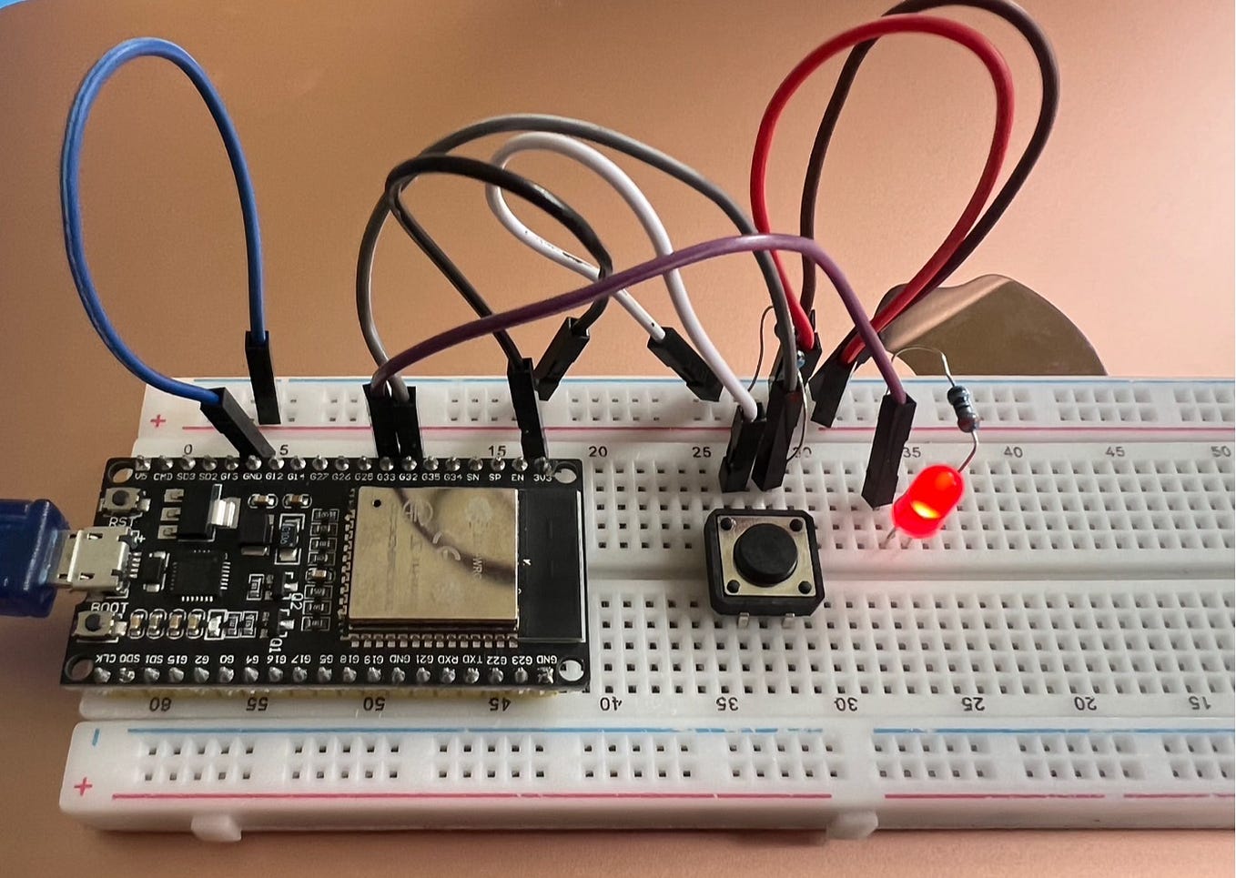 Let’s start our ESP32 Journey!: A Practical Guide to Making ESP32 Blink | by Thalita Zahra | Feb ...