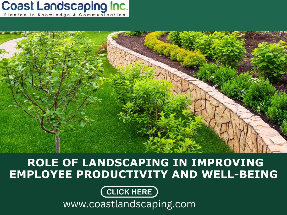 5 Principles of Landscaping Design that you need to know | by ...