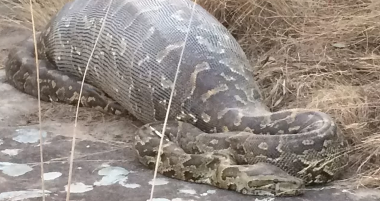 Automatically Wrap Graph Labels in Matplotlib and Seaborn | by Ted ...