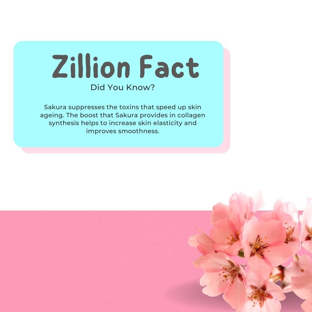 Zillion Ziva Series - Waringsupplier - Medium