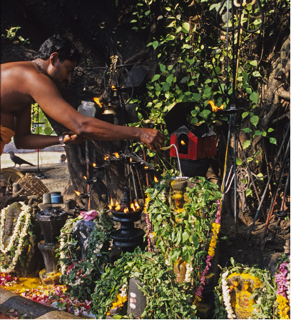 A Royal Puja. In gathering materials for my book on… | by Stephen ...