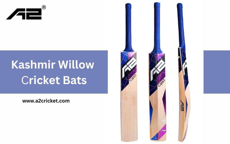 The Ultimate Guide to Choosing the Best Kashmir Willow Cricket Bats ...