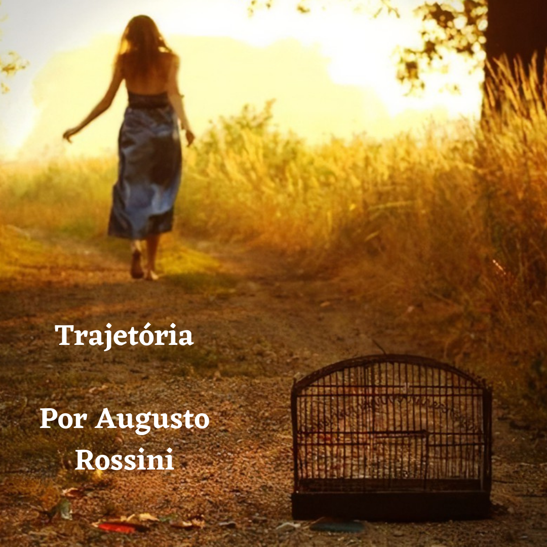 Apresentação - Augusto Rossini Araújo - Medium