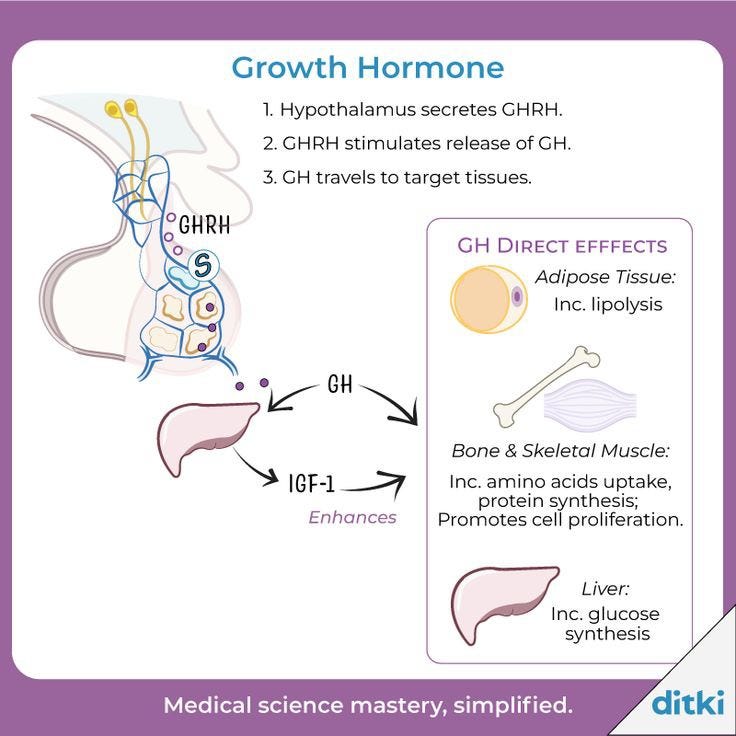 __The Impact of Stress on HGH Production: MIT Stress Busted How to Win ...