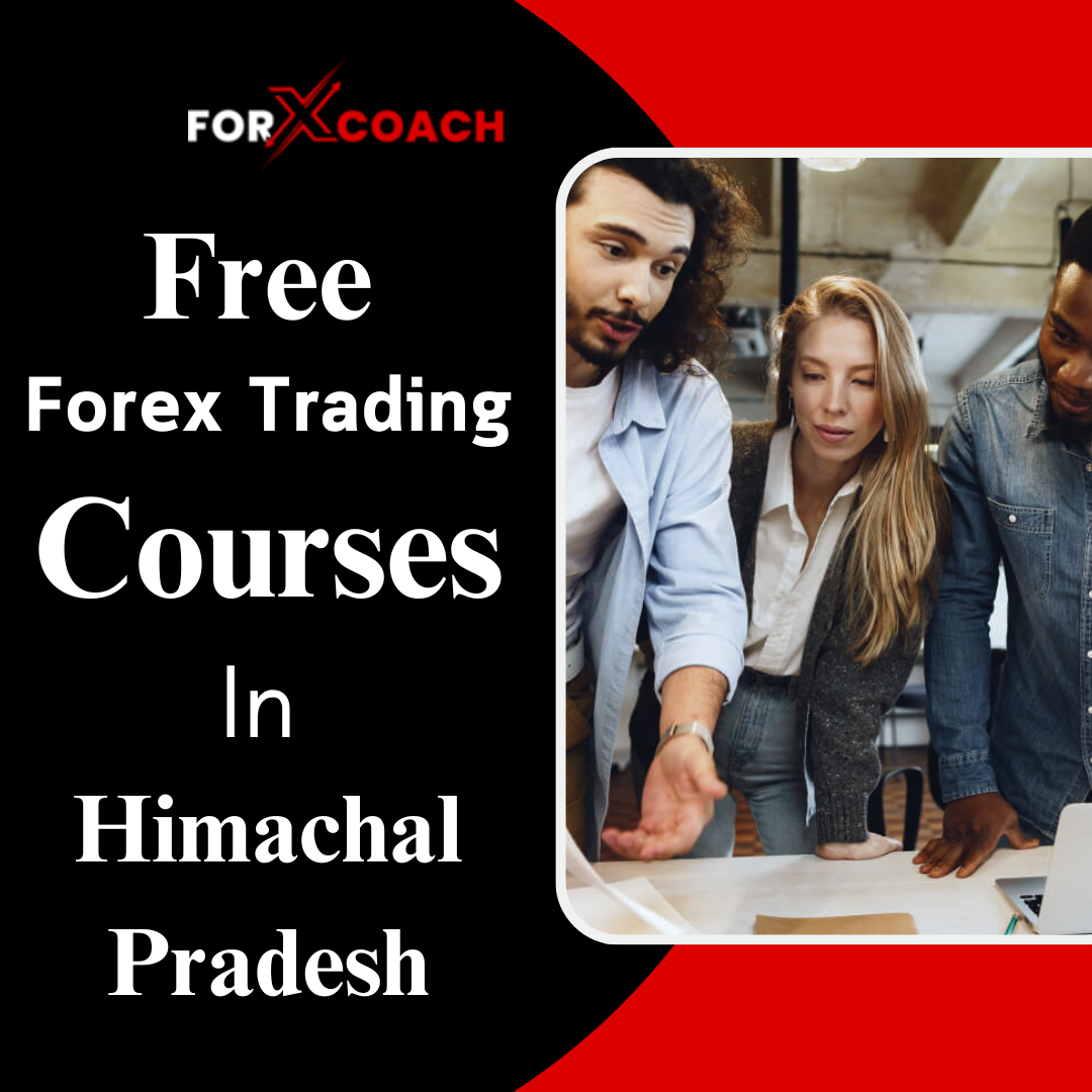 Top Forex Trading Courses in 2024 - Forxcoach - Medium