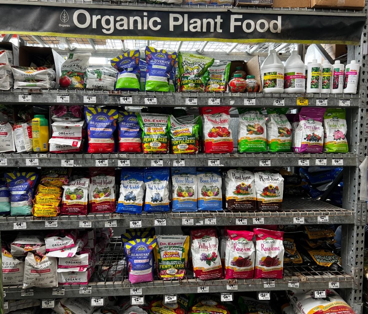 Enhance Your Garden With Three of the Most Powerful Natives | by Marta ...