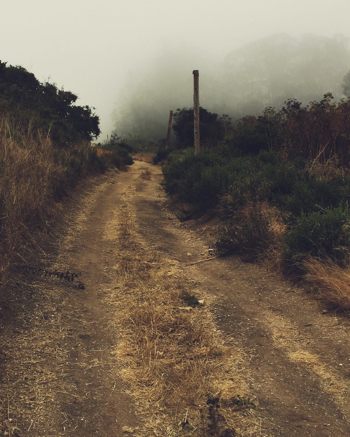On The Light at the End of the Tunnel | by Stephen Anspach | Medium