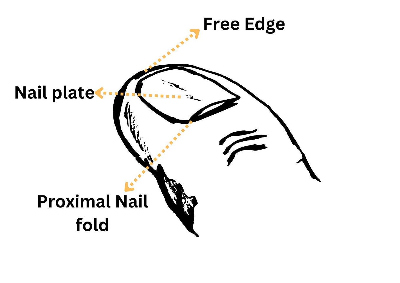 Examining the Myths, Legends, and Beliefs Around Nail Superstitions ...