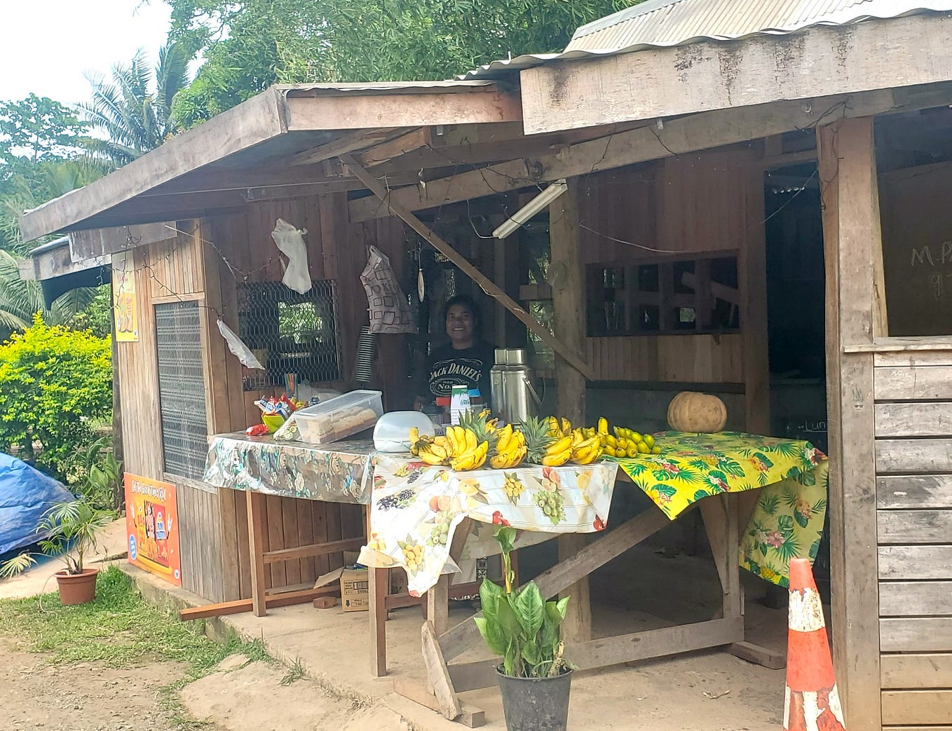 Ansh Kitchen. Fiji Roadside Food Stand | by Frodo Quixote - The ...