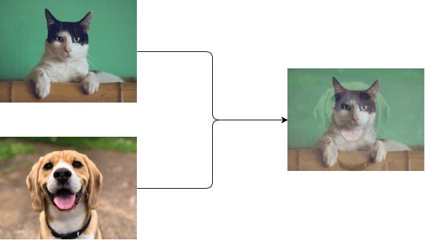 Building a Residual Network with PyTorch | by Tim Cheng | TDS Archive | Medium