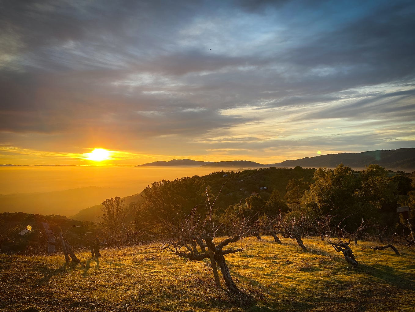 The Little Shack That Could: How My Backyard Hovel Became an Airbnb Hit ...