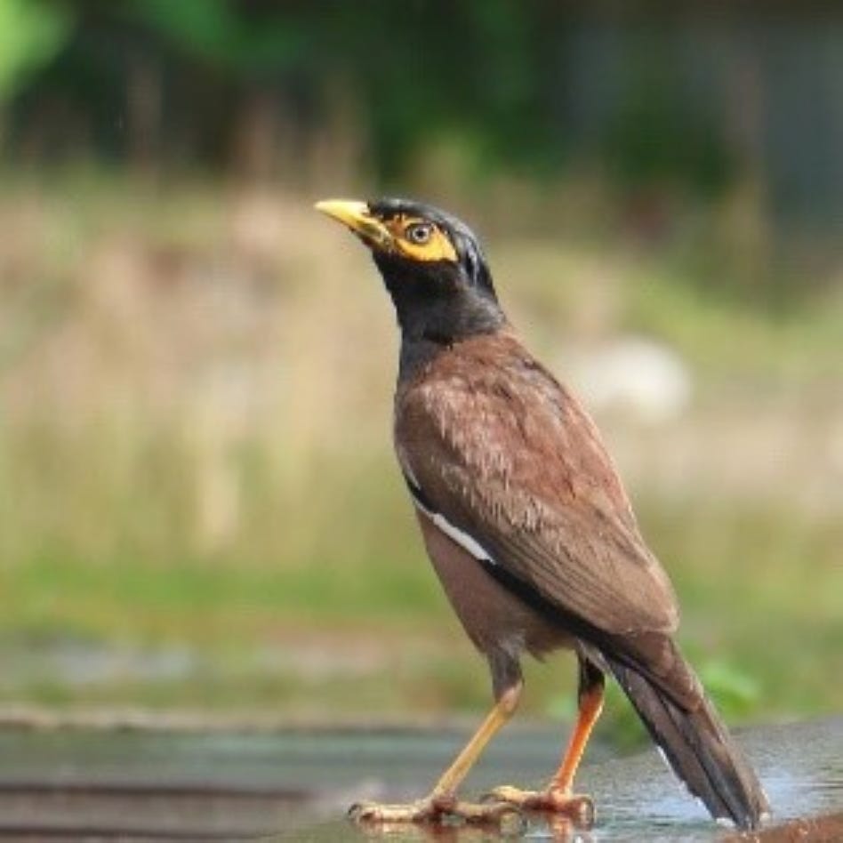 When Words Come Full Circle | by Diana Raj Kumari | Never Stop Writing | Nov, 2024 | Medium