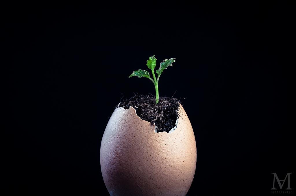 How to become an Agile team. Part 1 — The ‘Why’ | by Tracey Waters ...