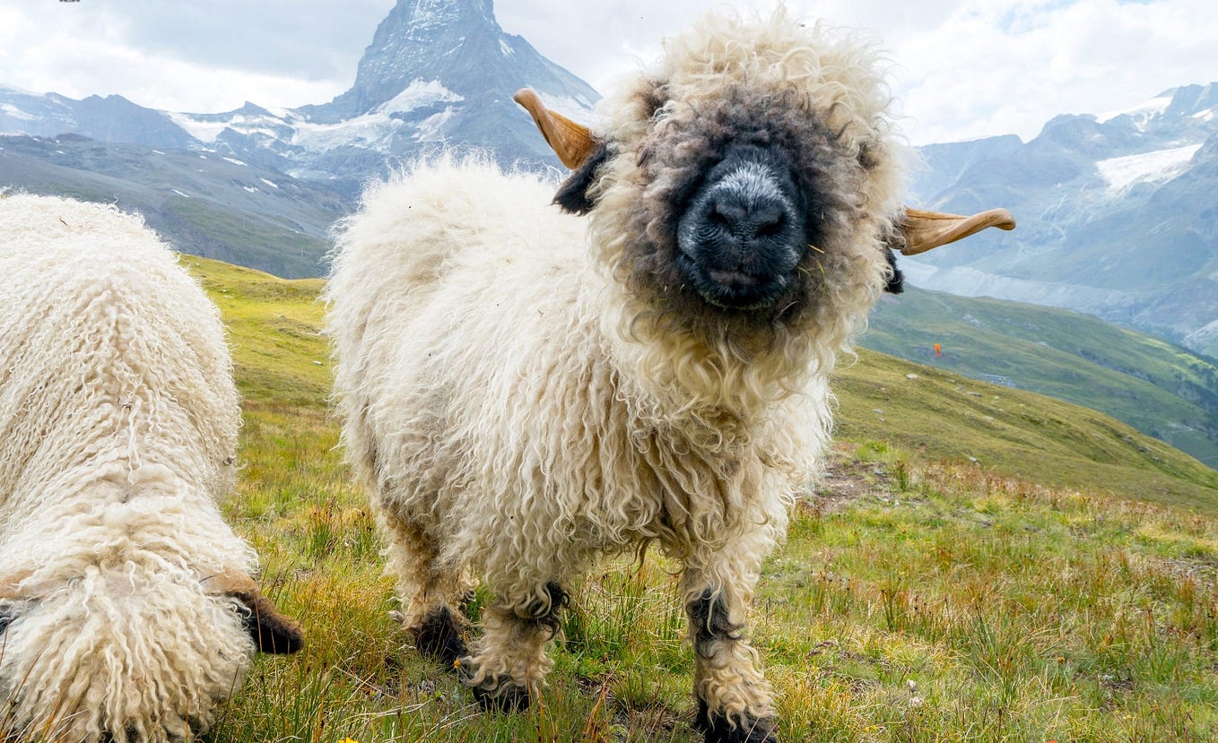 NLP Pipeline 101 With Basic Code Example — Feature Extraction | by ...