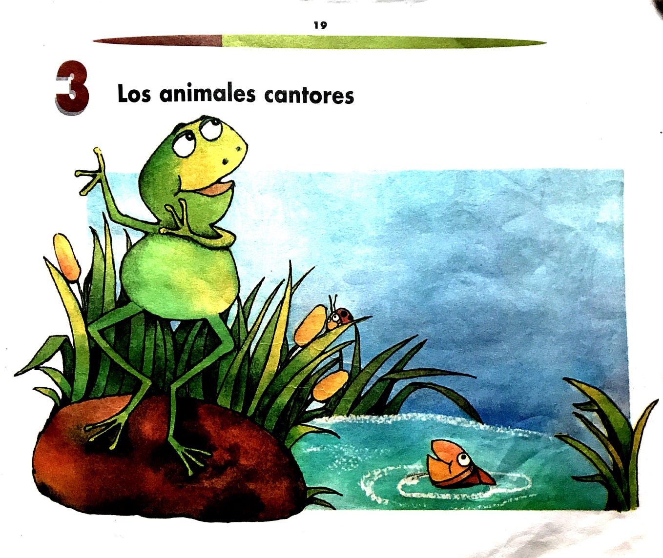 Paco el Chato. Español, Primer Grado LECTURAS. | by Sofía Moya | Medium