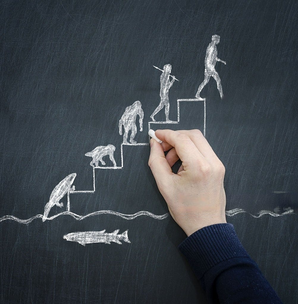 From Gaming to UX: How I got into UX Design | by Francesca Wilder | Medium