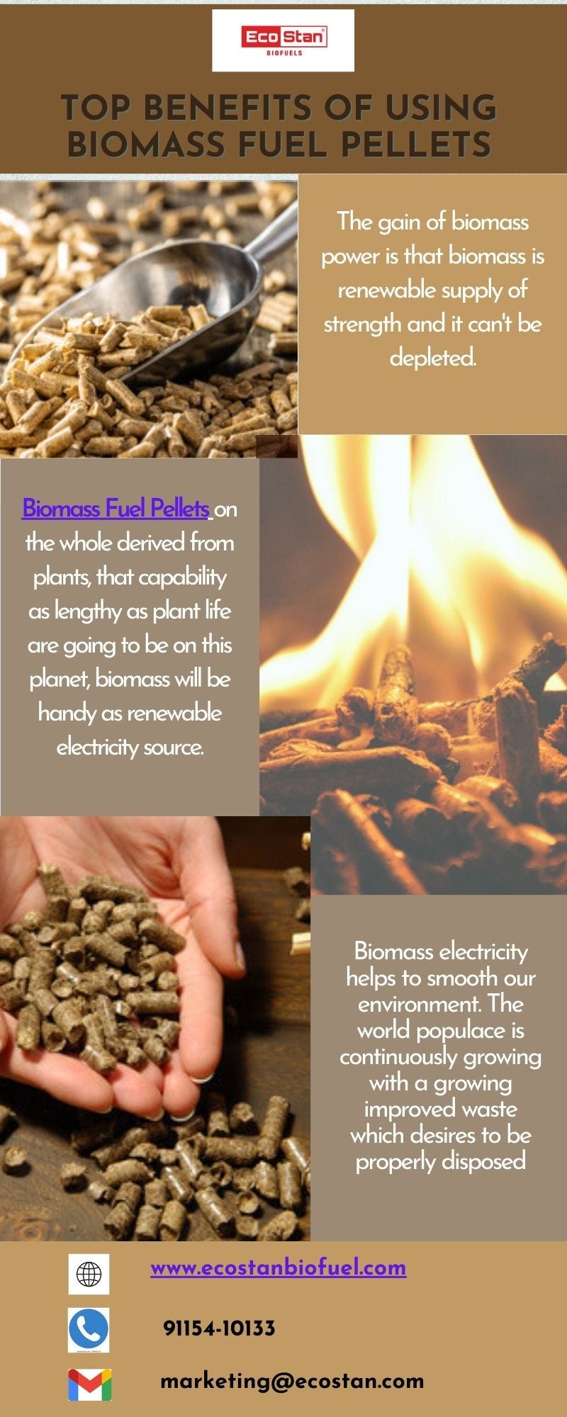 A top producer of biomass briquettes for sustainable energy. - ECOSTAN ...