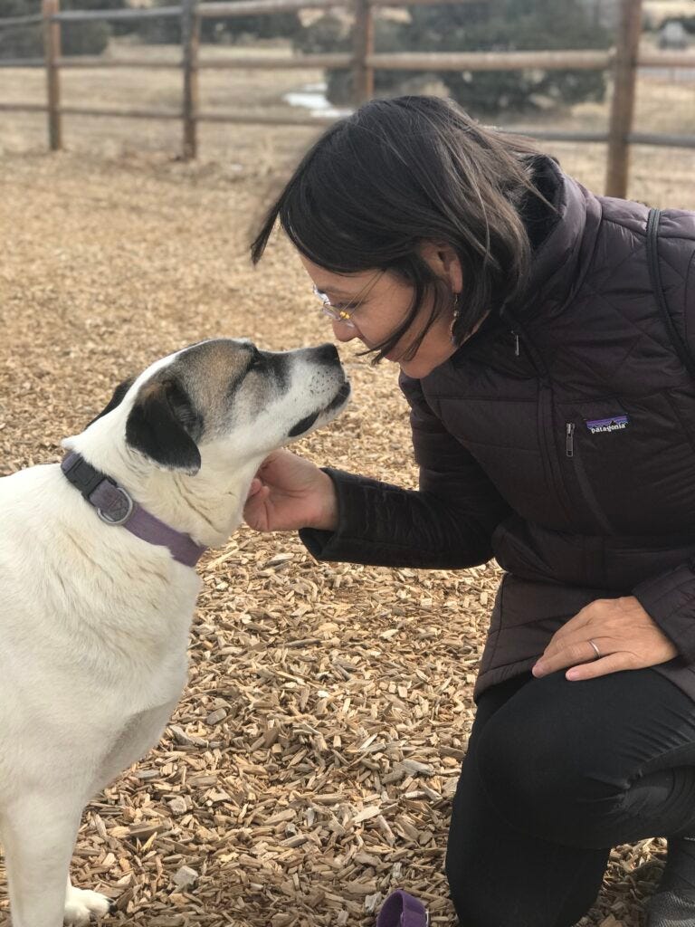 Are You a Water Tiger?. What is the least understood and most… | by ...