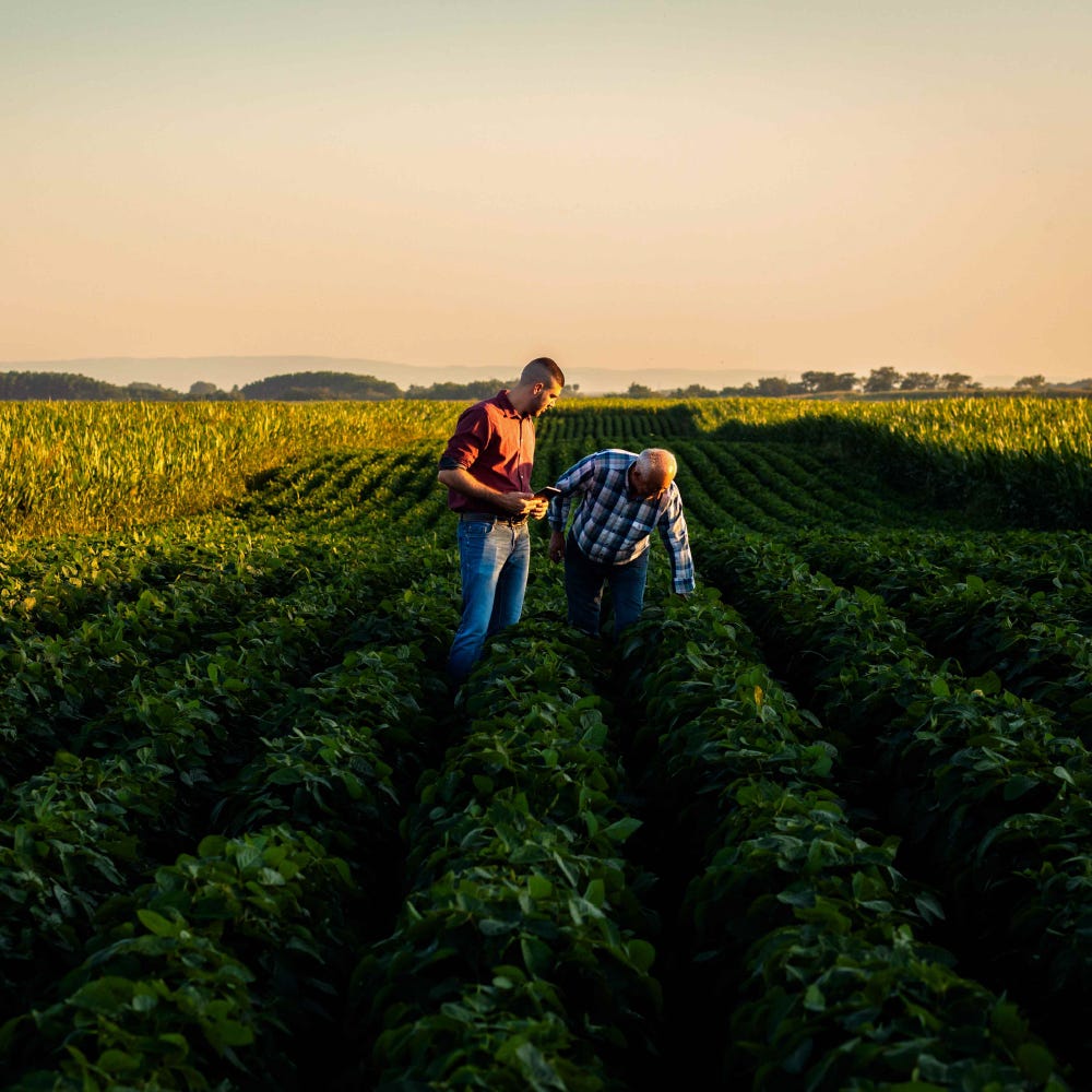 How Sugar and Ethanol Production is Transforming the Energy Industry ...