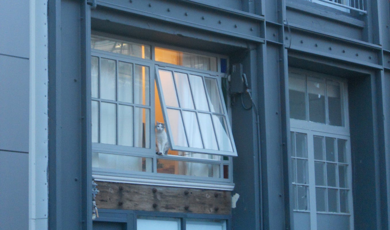 WindowInsets — listeners to layouts | by Chris Banes | Android Developers | Medium