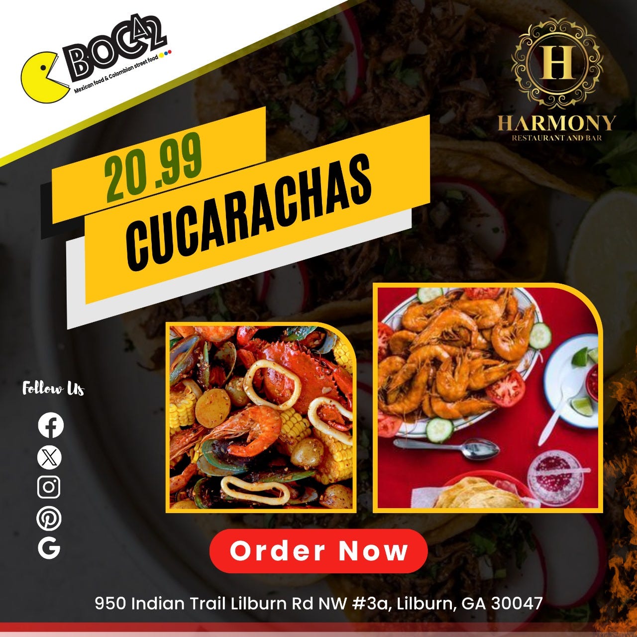 Savor perfection at Harmony Restaurant & Bar, the Best Restaurant and ...