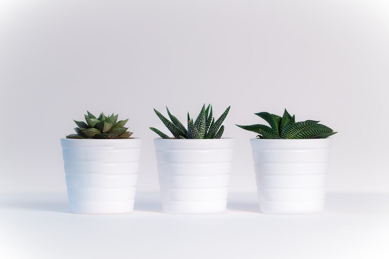 How To Configure Path Aliases With Typescript By Jesse Langford