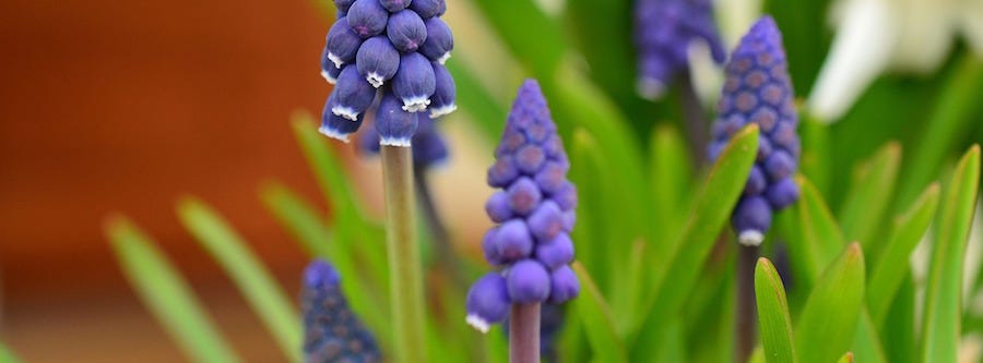 Awesome! I like the **Images and Media** section. | by Abdelrahman ...