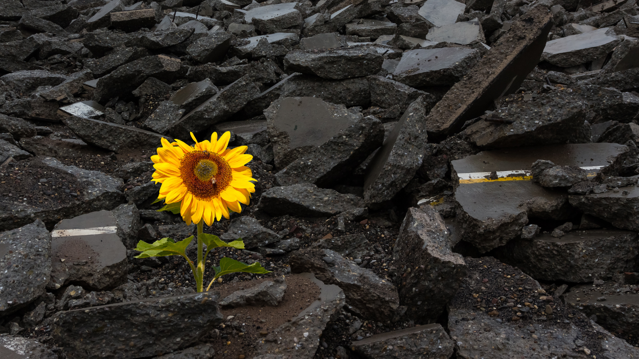 Clean Up Your Strings: How to Remove Unwanted Characters Using a Simple C# Extension Method | by ...