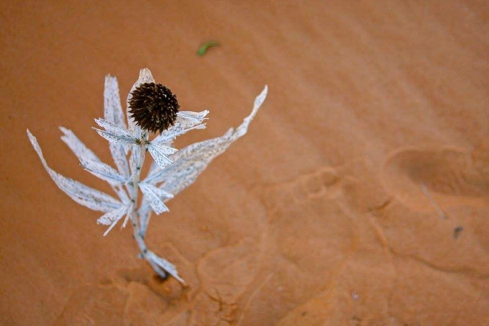 I just got out. Again. Sheesh… - Sara Larca - Medium