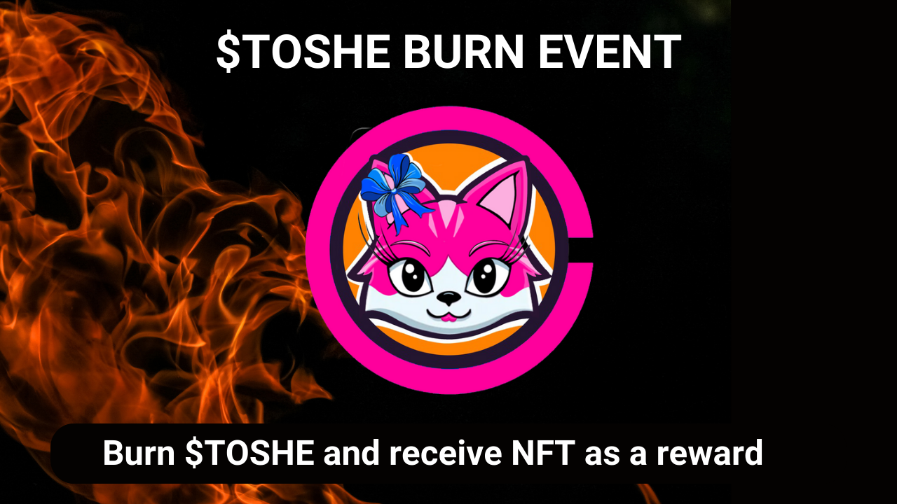 $TOSHE Launched on Base Chain - Toshe - Medium