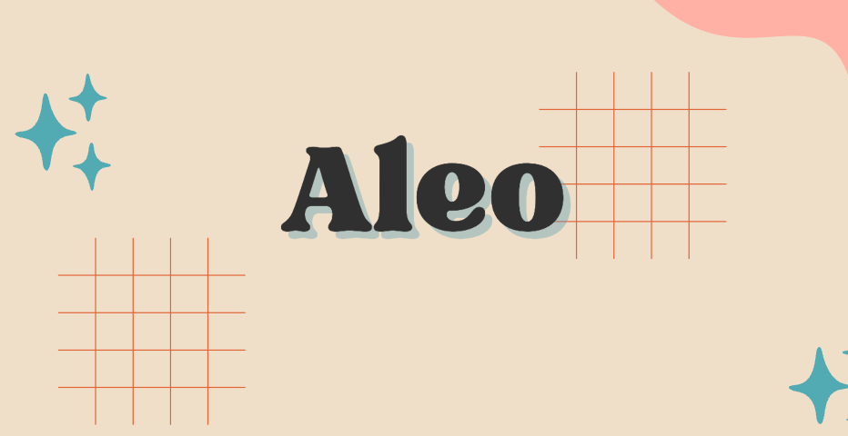 Innovative Approach of the Aleo Project | by binancr | Medium Innovative Approach of the Aleo Project | by binancr | Medium