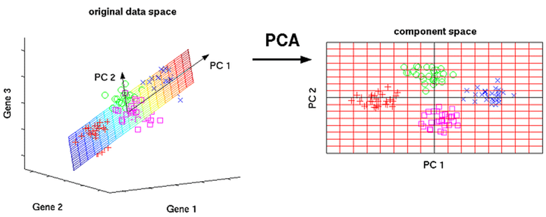 Transforming Text From Raw Data To Refined Insights By Mustafa Germec Python In Plain English