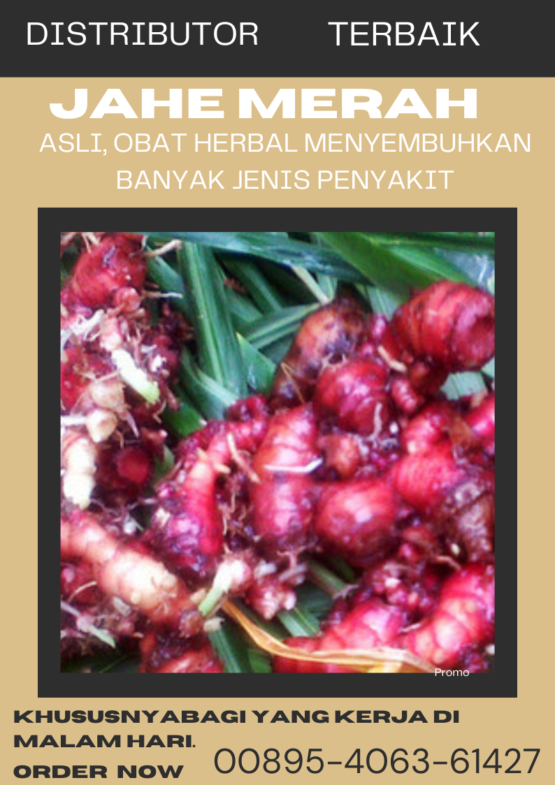 08995–4063–61427 (Tel/Wa), distributor jahe merah di jogja ...