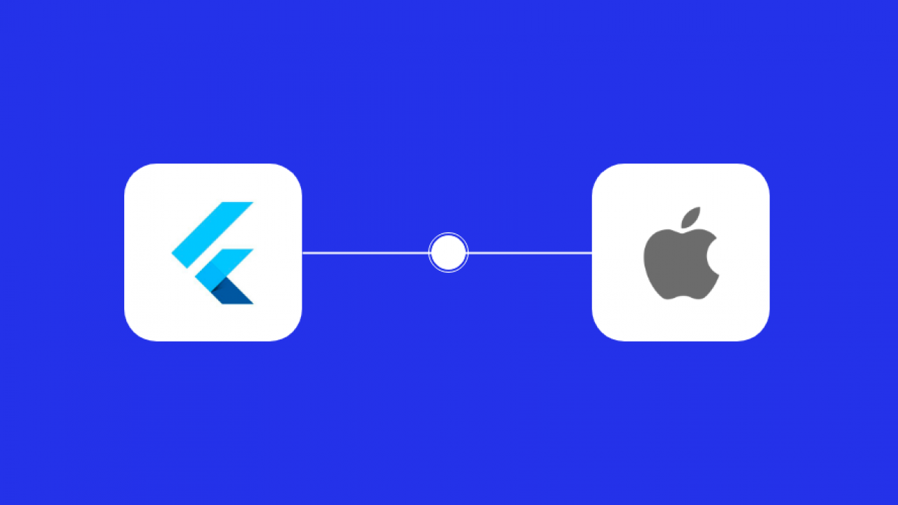 Implement a search and filter in flutter | by Ezaldeen sahb | Level Up Coding