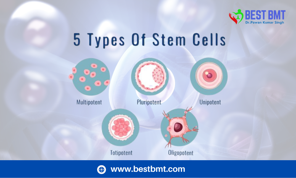 Chronic Myeloid Leukemia: What You Need to Know - Dr Pawan Kumar Singh ...