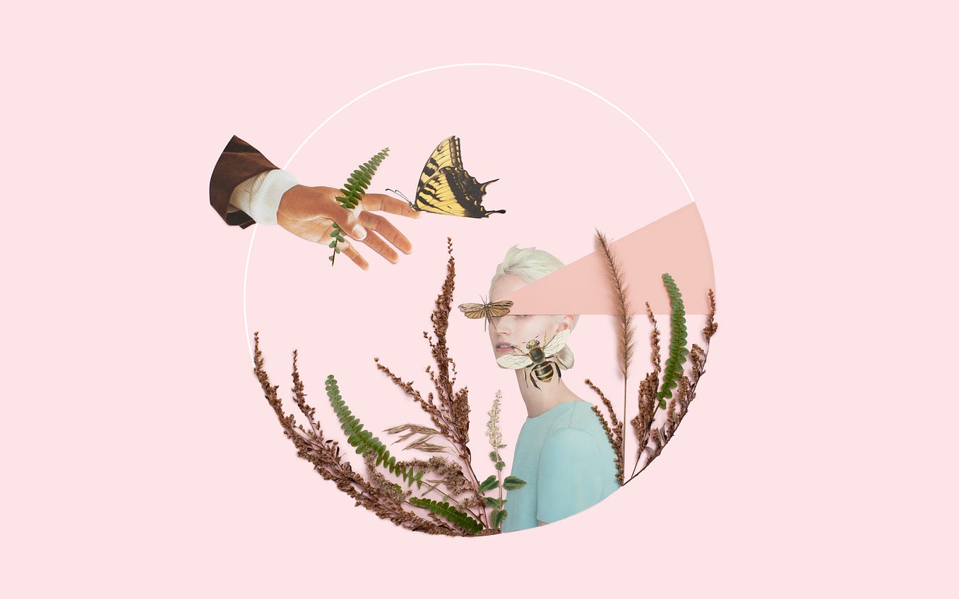 Face Recognition with VGG-Face in Keras. | by Lakshmi Narayana Santha ...