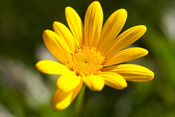 State management in Javascript. State management is an important aspect ...