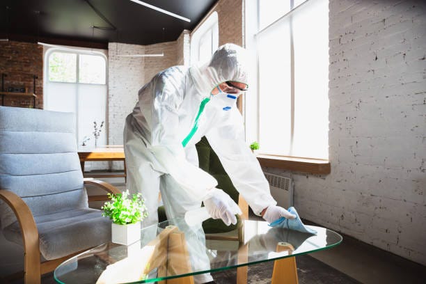 Services of Cleaning up Human Feces - Anubis Hazmat - Medium
