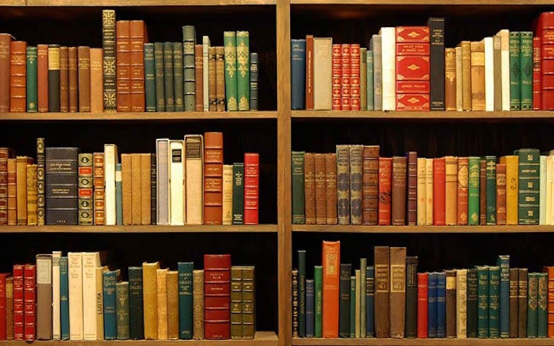 SRGAN Paper Explained. This article gives a detailed… | by Ramya Gowda ...
