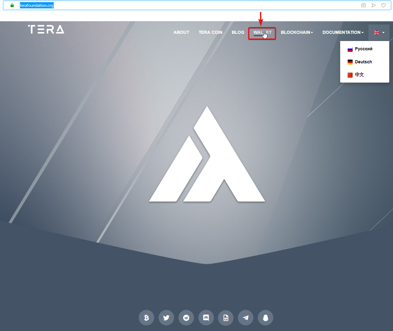 TERA: Step-by-step instruction for node installation with additional ...