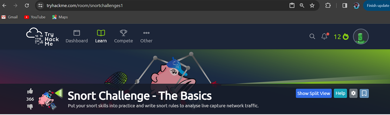 TryHackMe Snort Challenge — The Basics — Task 1 Introduction, Task 2 Writing IDS Rules (HTTP ...