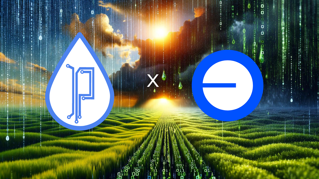 Let it RAIN…. What is the RAIN Infrastructure Token? | by Precipitate ...