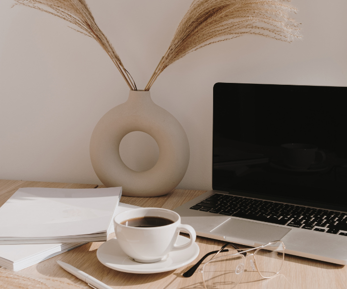 Izhikevich Neuron — A Python approach | by Celine Soeiro | Medium