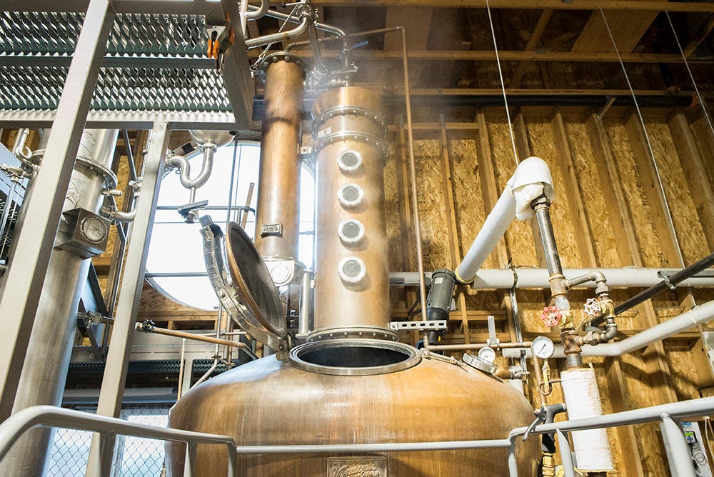 Meet the Rogue Characters. “There’s nothing like tasting a beer… | by ...