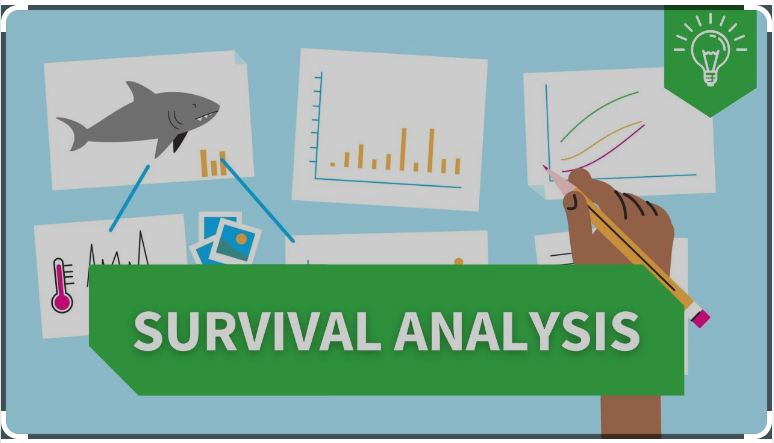 Survival Analysis in Python (KM Estimate, Cox-PH and AFT Model) | by Rahul Raoniar | The ...