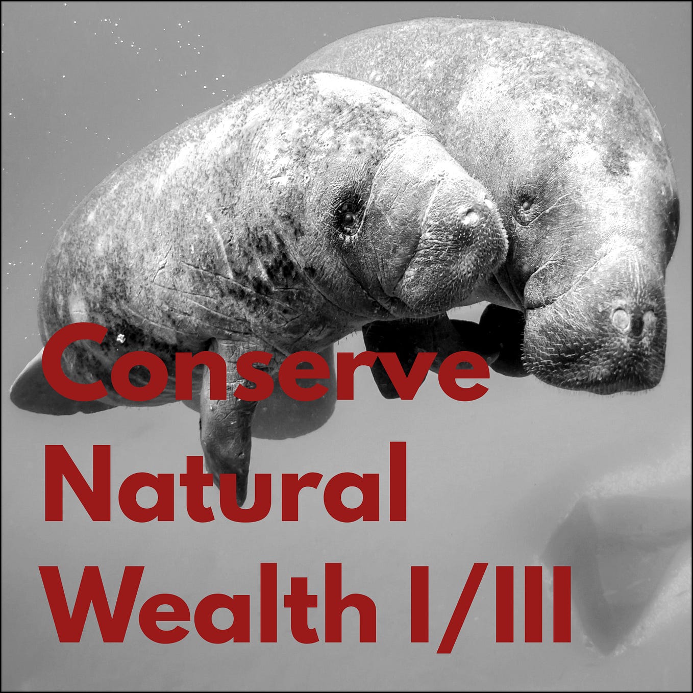 Conserving Natural Wealth III/III | by Broadpeak GmbH | Jul, 2024 | Medium