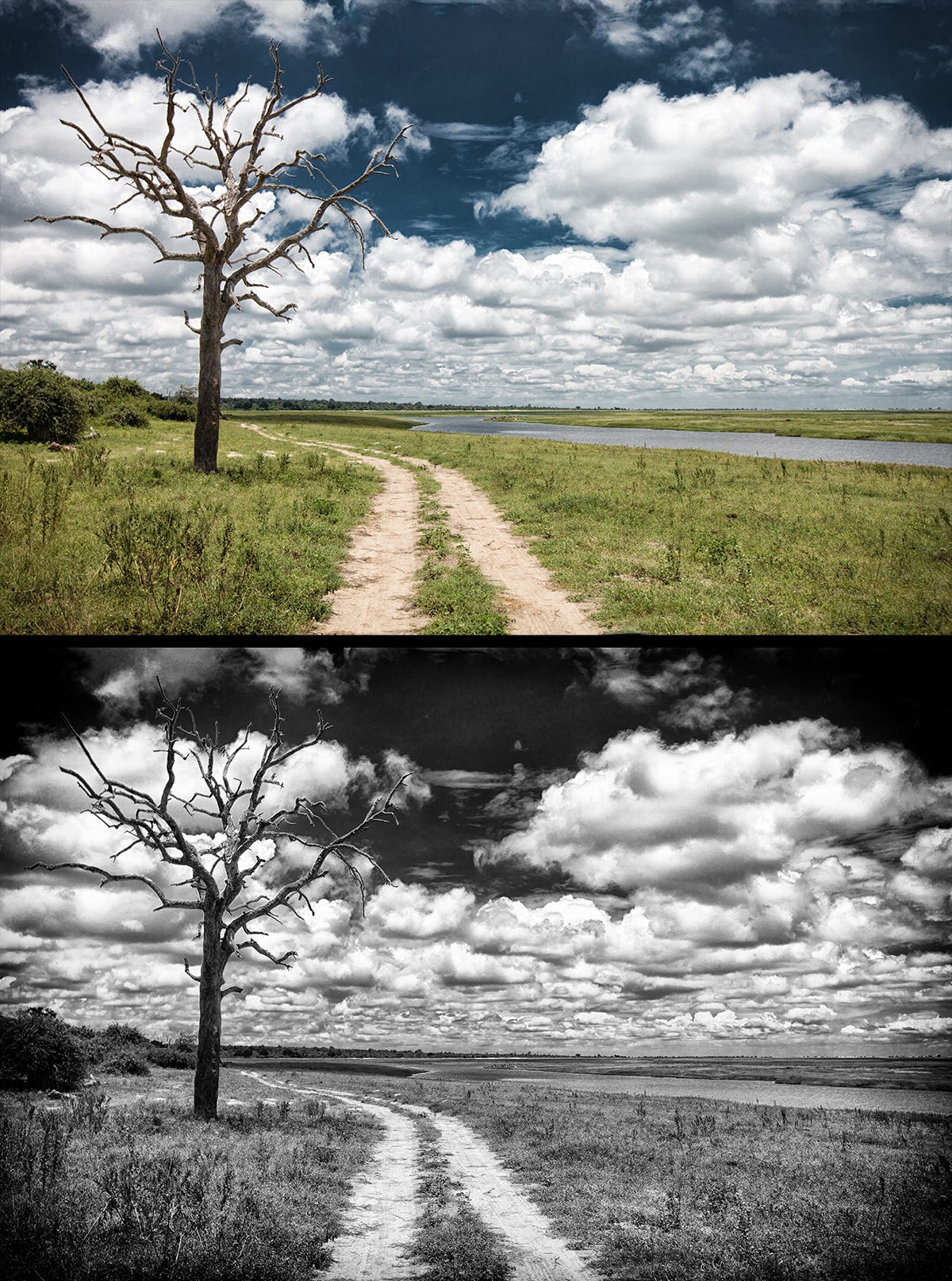 Panorama Formation using Image Stitching using OpenCV | by Shreyas ...